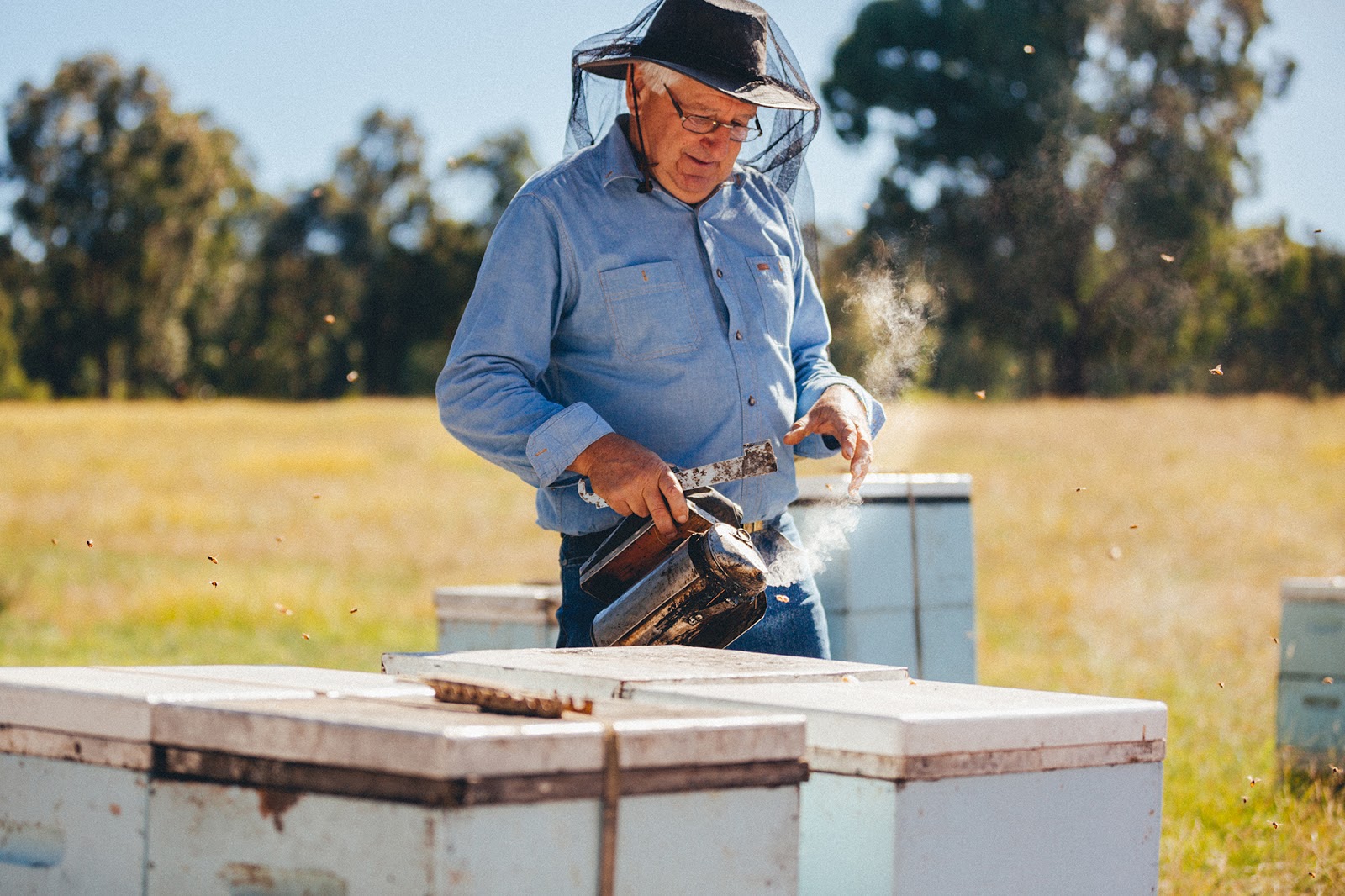 Purple Hive Project by B honey