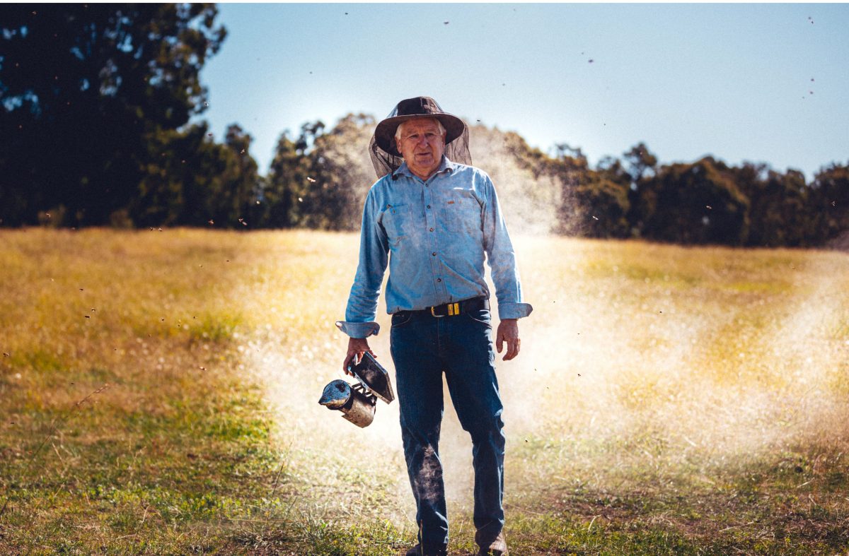 Purple Hive Project by B honey